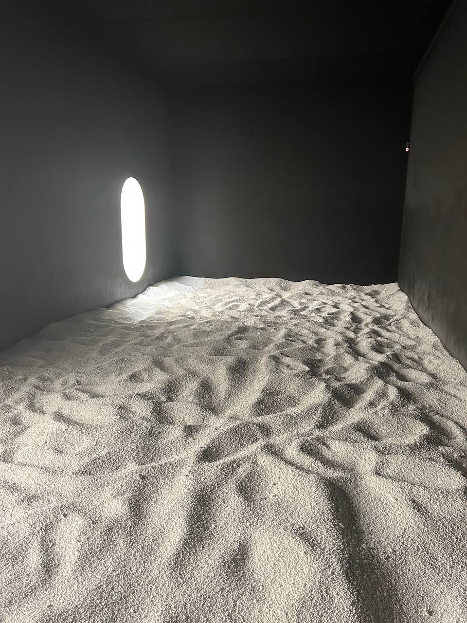 L’immersion dans les expositions : Des sensations à foison ...